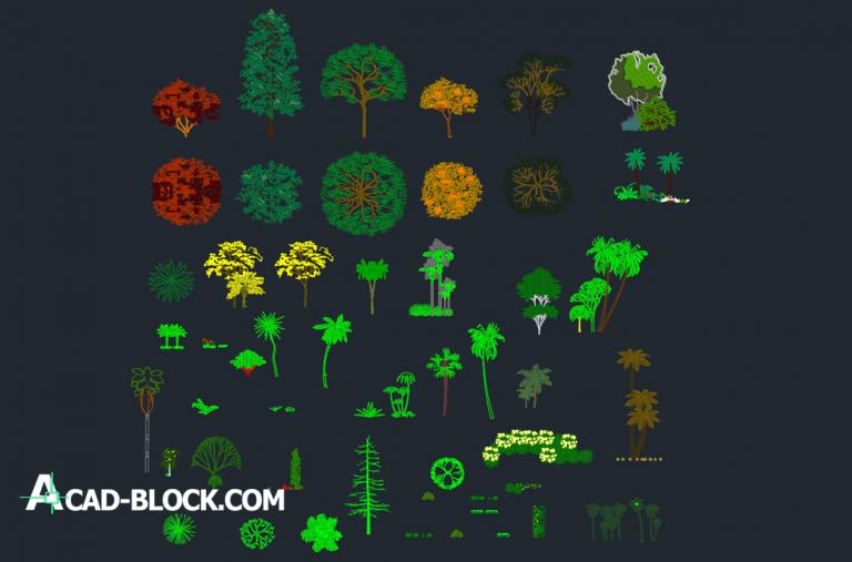Tree CAD Blocks Free library - CAD blocks of trees and plants download