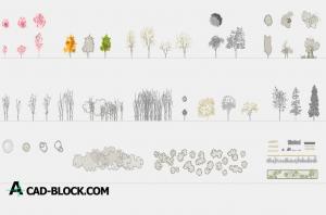 Tree CAD Blocks Free library - CAD blocks of trees and plants download