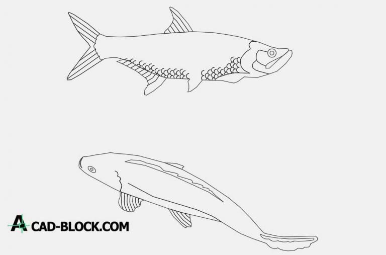 Fishes DWG - Free cad block, CAD model, AutoCAD blocks